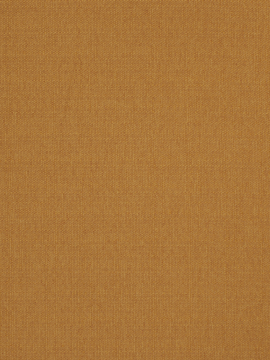 03000 Amber | Fabric | Trend