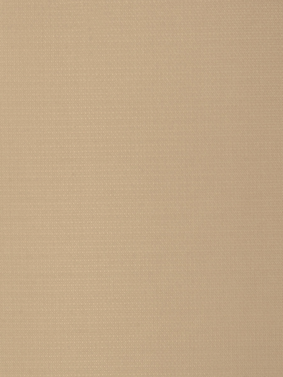 Vivid Blackout Ecru | Fabric | Fabricut Contract