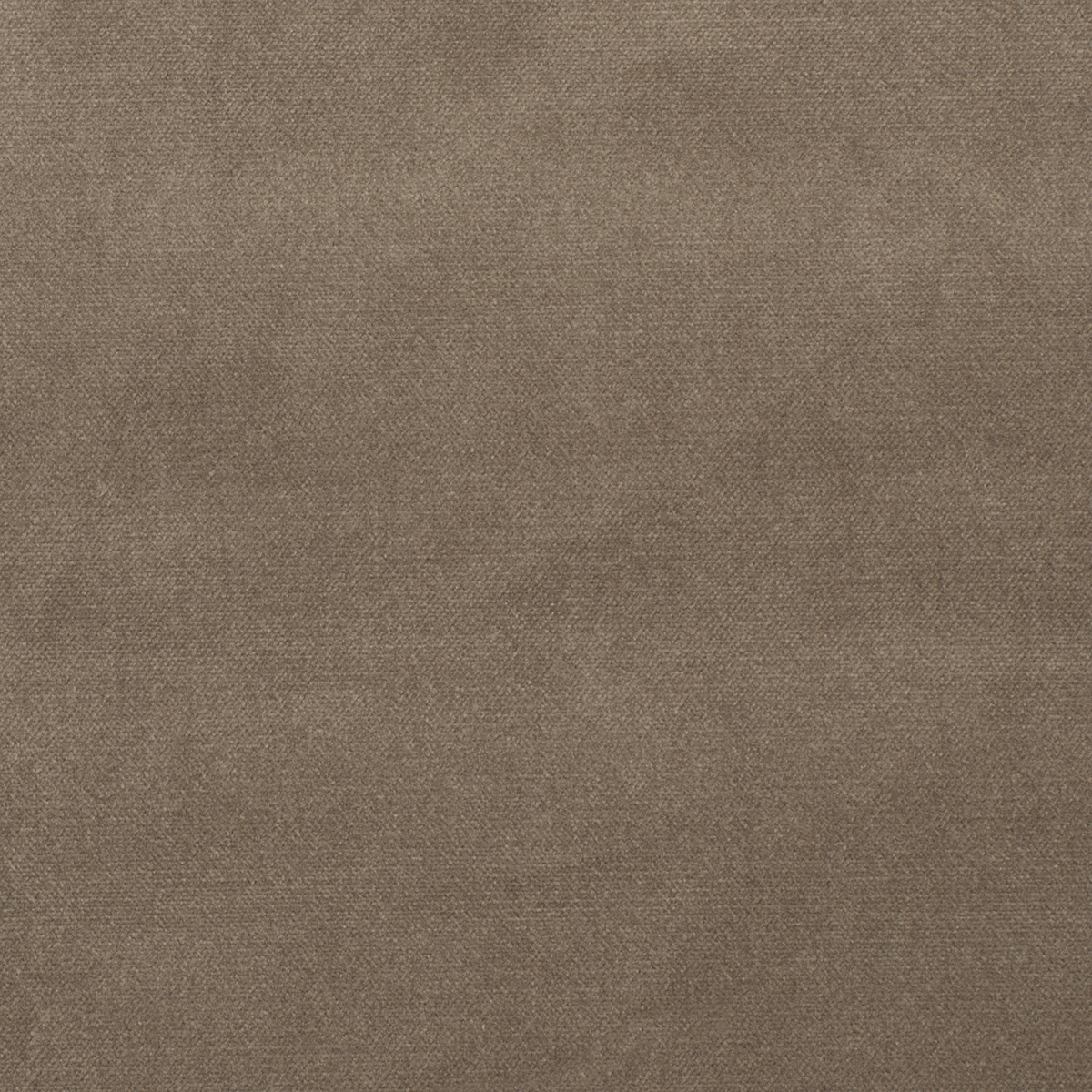 Panache Velvet Stone | Fabric | Fabricut Contract
